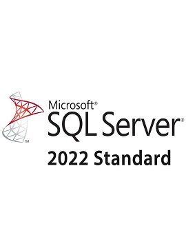 Buy Cheap Microsoft SQL Server 2022 Standard Software Keys Online ...